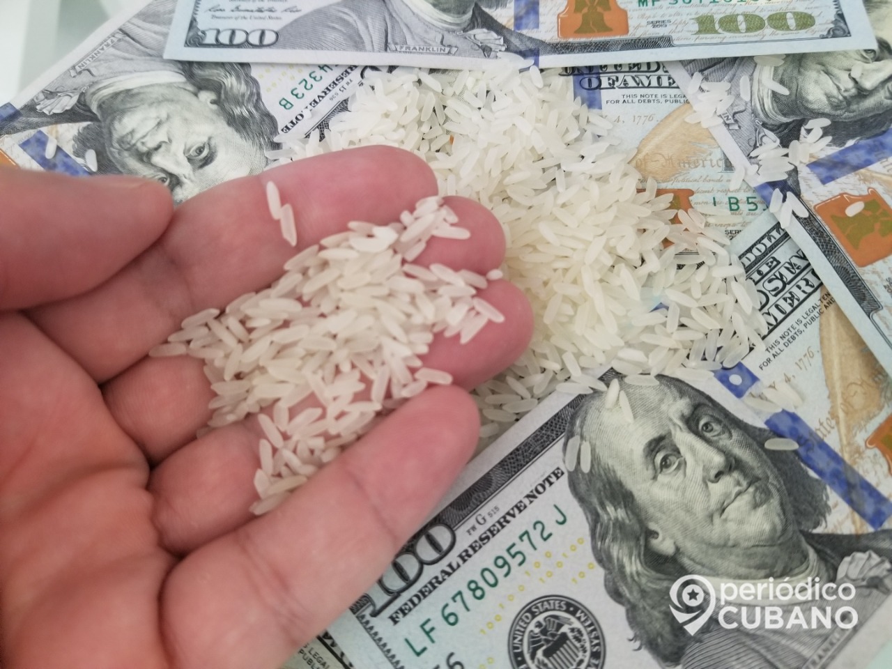 Cuba produce apenas el 15% del arroz que consume debido a ...