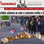 Llueven los memes sobre el curiel como alimento para los cubanos