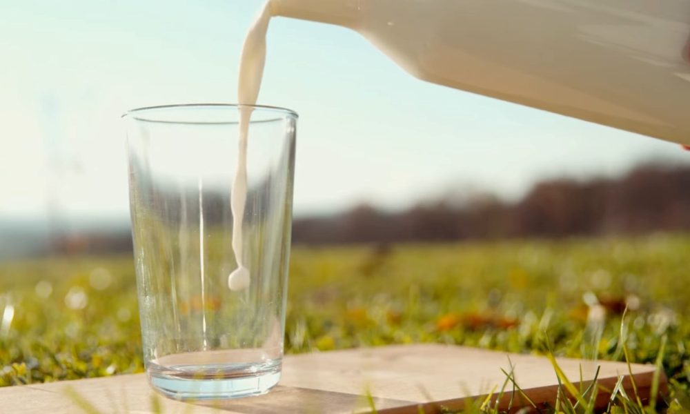 Prensa oficialista propone la leche de cucaracha "como bebida nutritiva"
