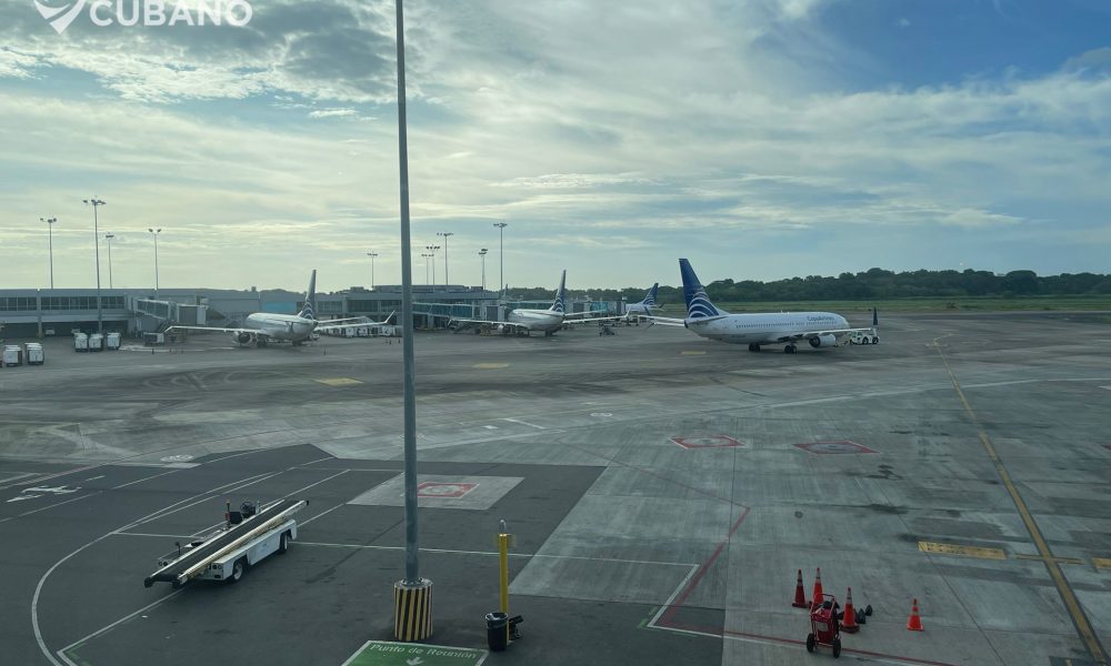 Satélites Starlink de Elon Musk brindarán conexión a Internet a ...