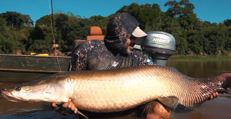 El suculento pez que los cubanos no comen y que se destina solo a la ...