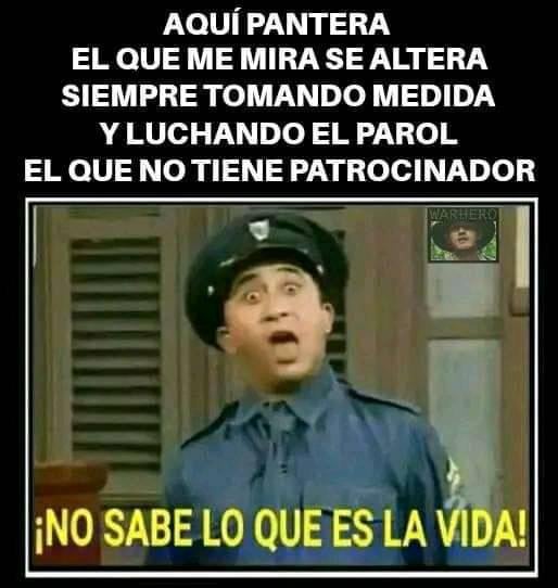 Cubanos generan ola de memes hacia la figura del patrocinador en el ...