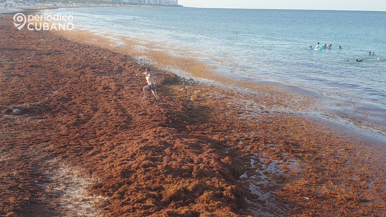 ¡Cuidado con el sargazo! Una ola enorme amenaza las playas del sur de ...