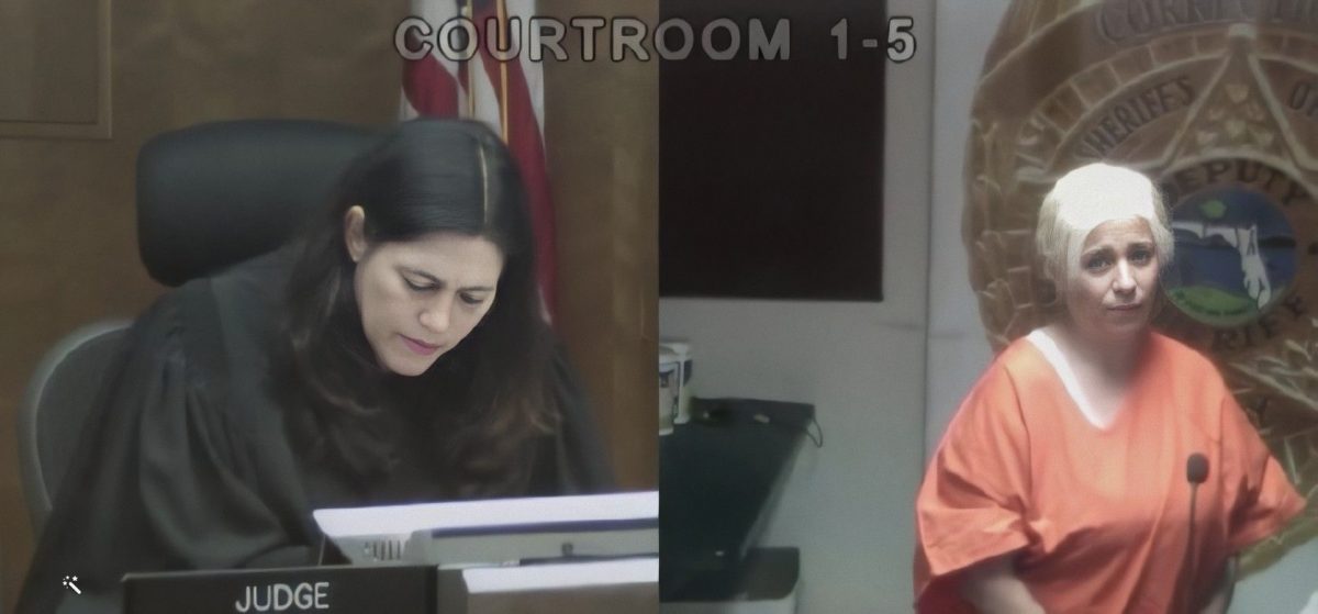 María de Lourdes Van Caneghem arrestada nuevamente por falsificación de ...