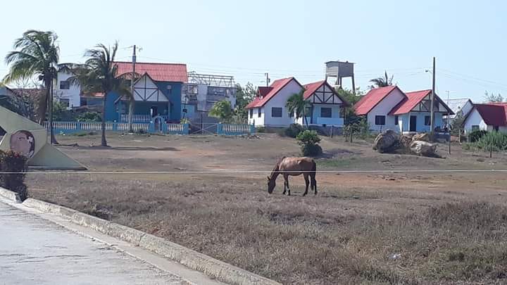 El pequeño pueblo holandés construido en Cuba por orden de Celia ...