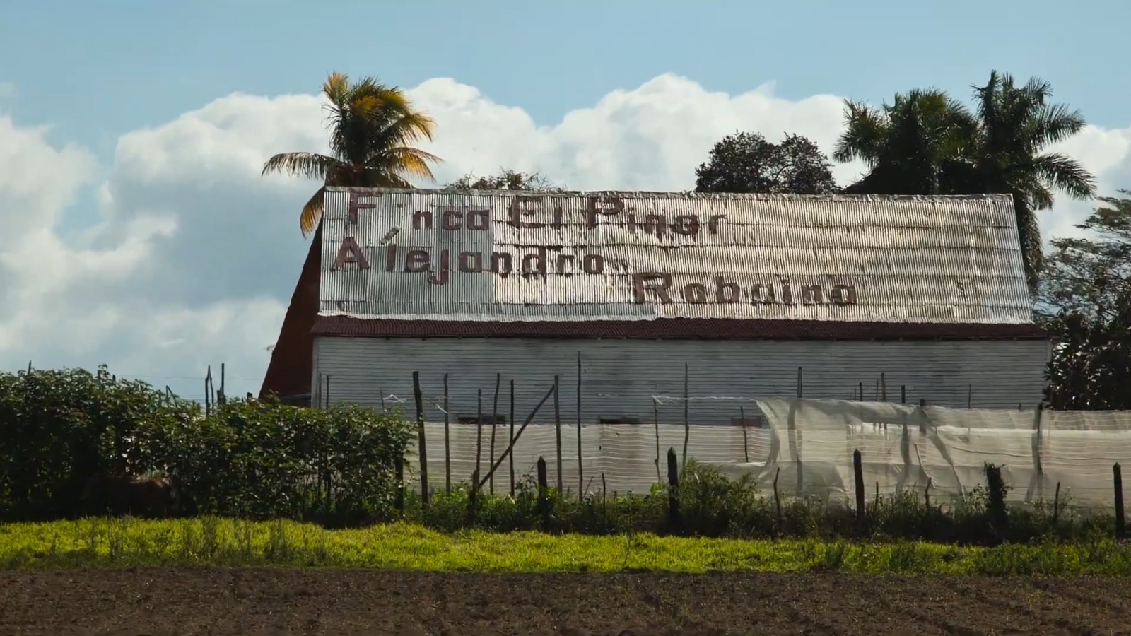 Heredero de la familia Robaina solo ha recuperado el 30% de la ...