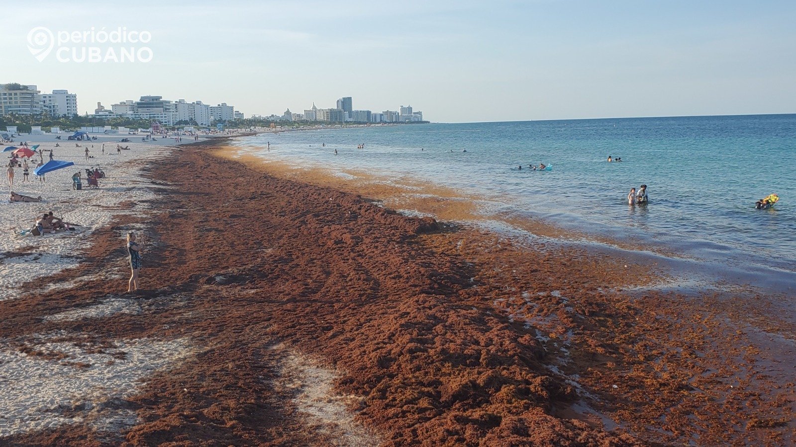 Otra mala noticia para el turismo en Cuba: el sargazo se aproxima a las playas del país