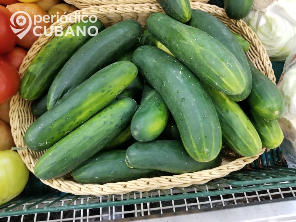 Pan con pepino en 30 CUP: La última oferta de una cafetería cubana ante ...