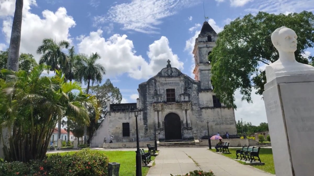 Cotorro ¡Últimas noticias!