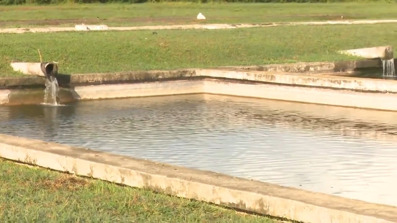 Inauguran estanque para cría de peces en fábrica de sacos de Las Tunas