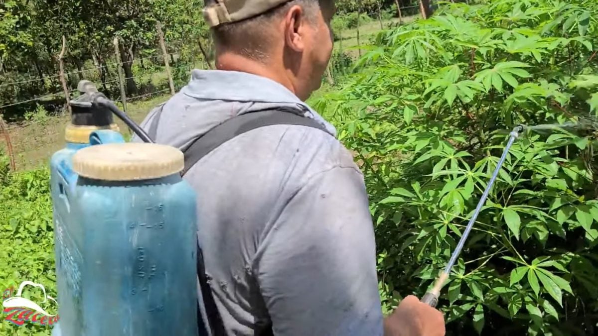 Rebaja de aranceles a la importación de materias primas en Cuba no ...