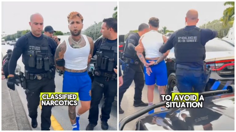 Sale a la luz video del arresto del rapero cubano Ovi en Miami