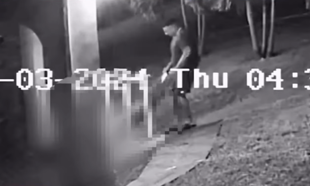 Charada Cubana: números ganadores de hoy