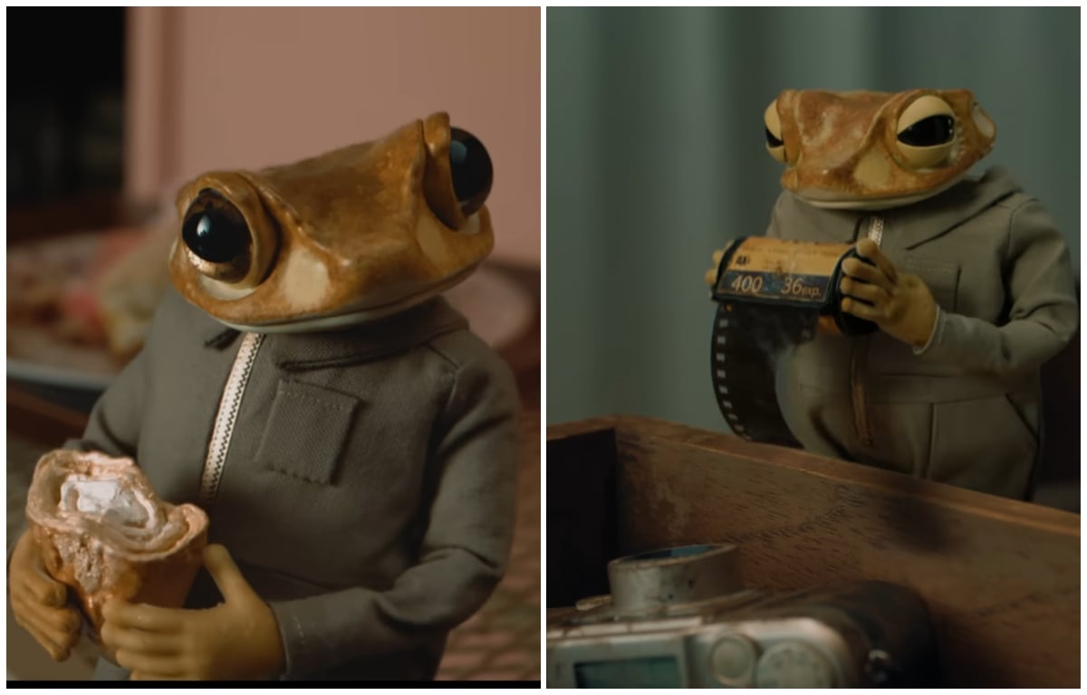 ¿Por qué Bad Bunny eligió al sapo Concho como símbolo de ‘DeBÍ TiRAR ...