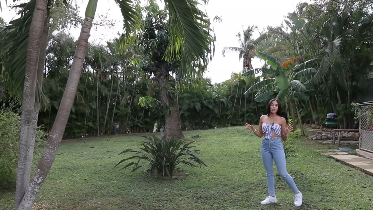 Venden casa en Fontanar por 135 mil dólares: tiene tres cuartos y piscina