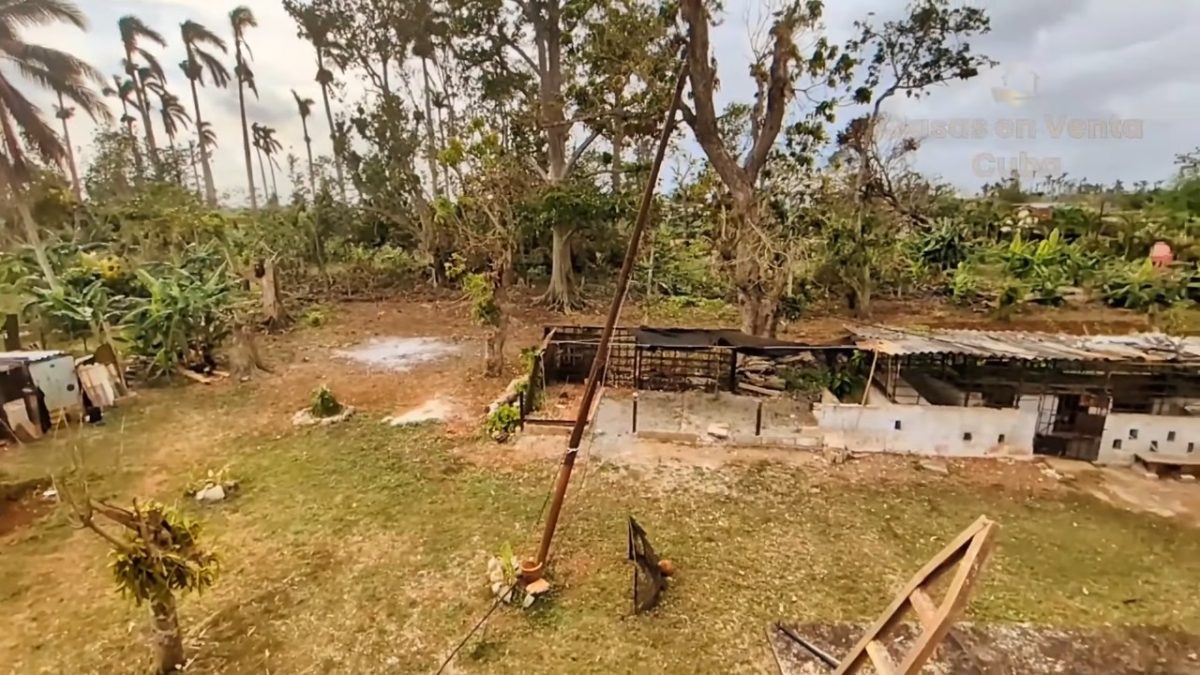 Venden finca con casa de campo cerca de Guanajay por 70 mil dólares