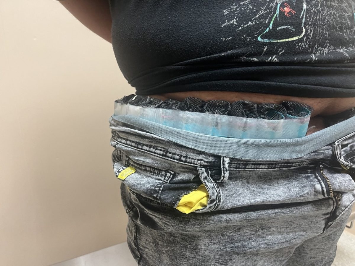 Detienen a un cubano en el Aeropuerto de Miami con 40 aves vivas ...