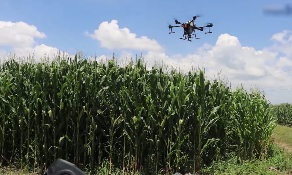 Gobierno quiere utilizar drones para aumentar la producción agrícola en ...