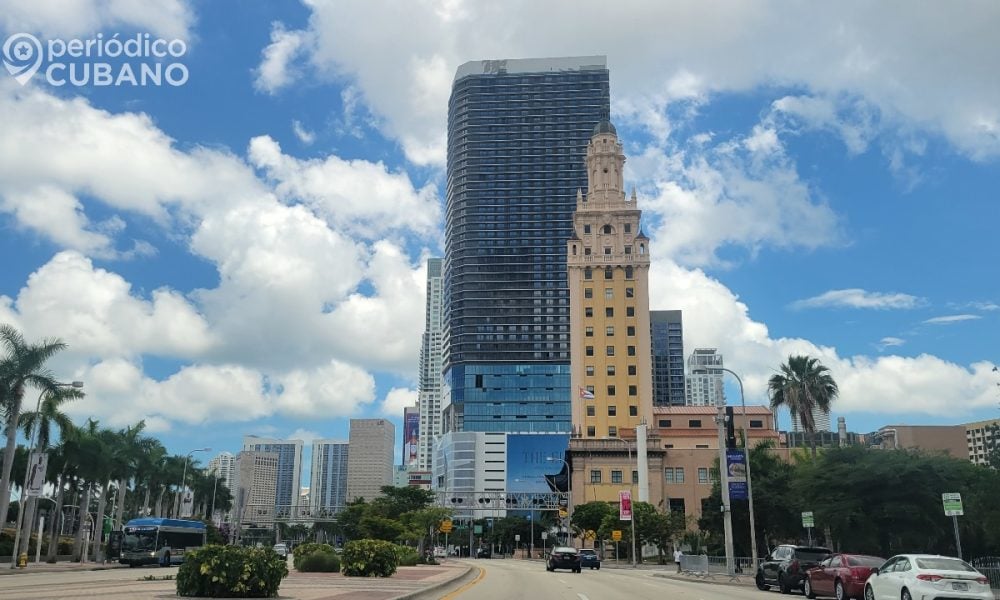 ¿Por qué Bad Bunny eligió al sapo Concho como símbolo de ‘DeBÍ TiRAR ...