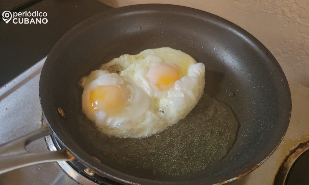 Cuba compra 65 millones de huevos al mes a productores de República ...