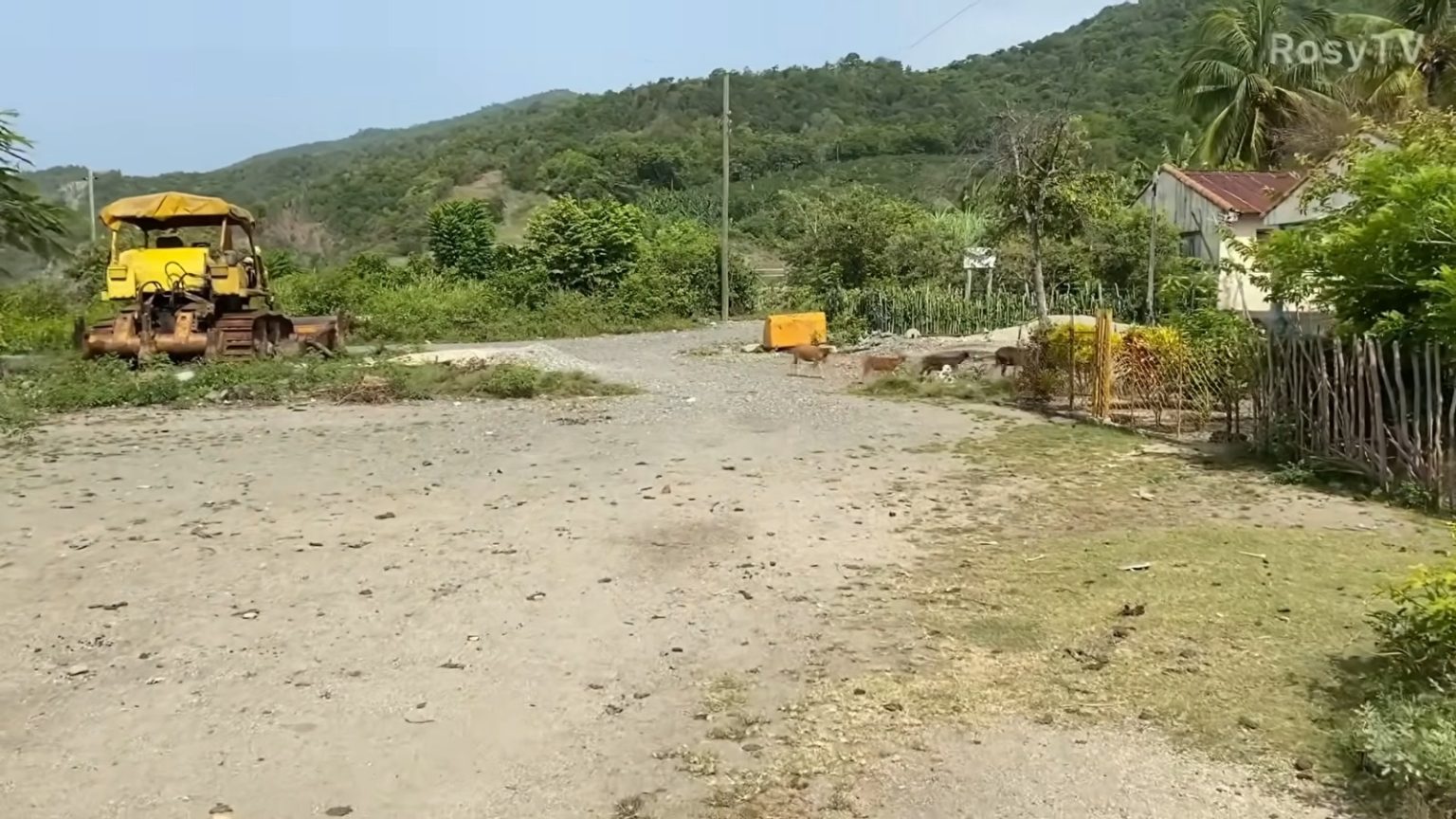 Cuba permitirá a cubanos en el exterior tener tierras en usufructo y ...