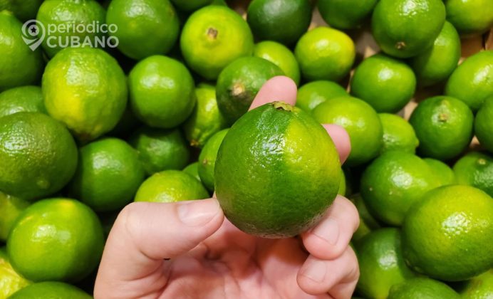 ¿Hay comida en Cuba? Así están hoy los mercados y los precios