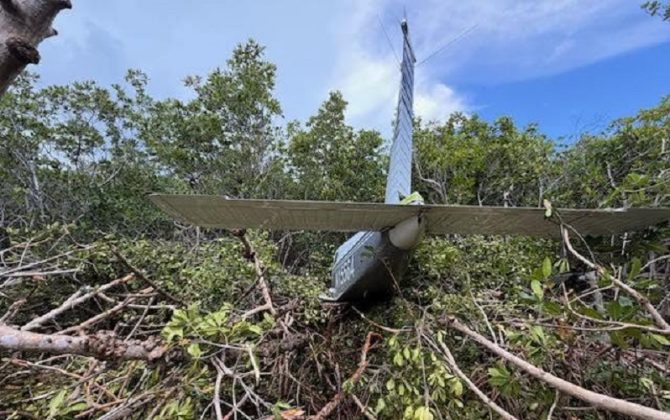 Avioneta se estrella en los manglares de Cayo Hueso ¿Qué ocurrió?
